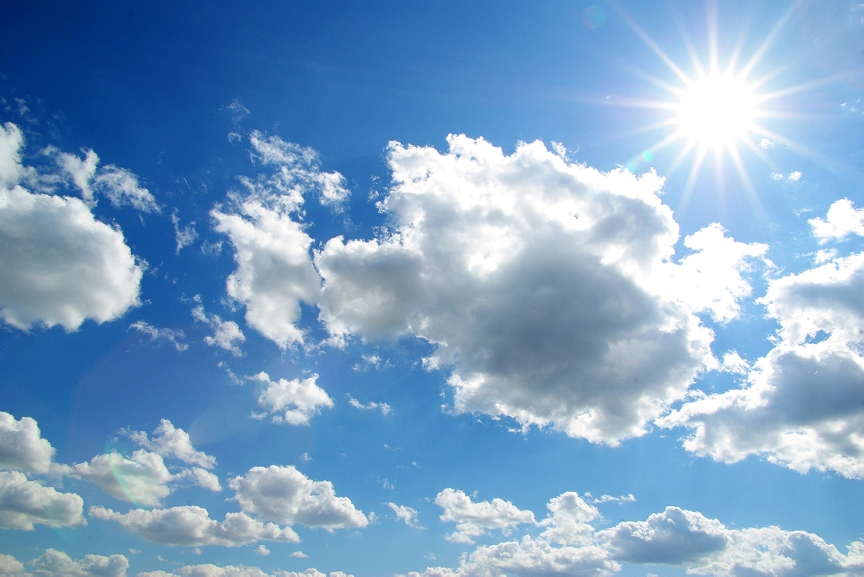 Scattering Sunshine | COAT NOTES