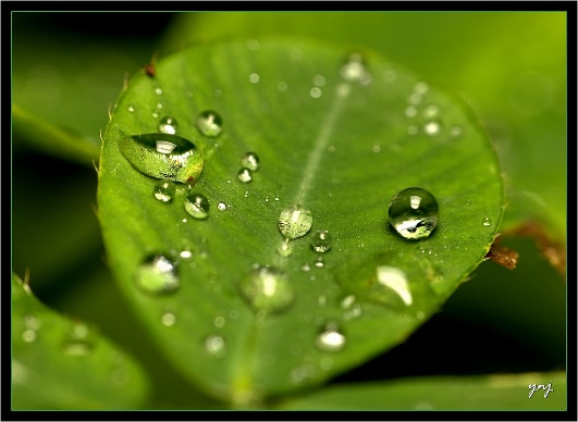 Hydrophobic and Hydrophilic Effects | COAT NOTES